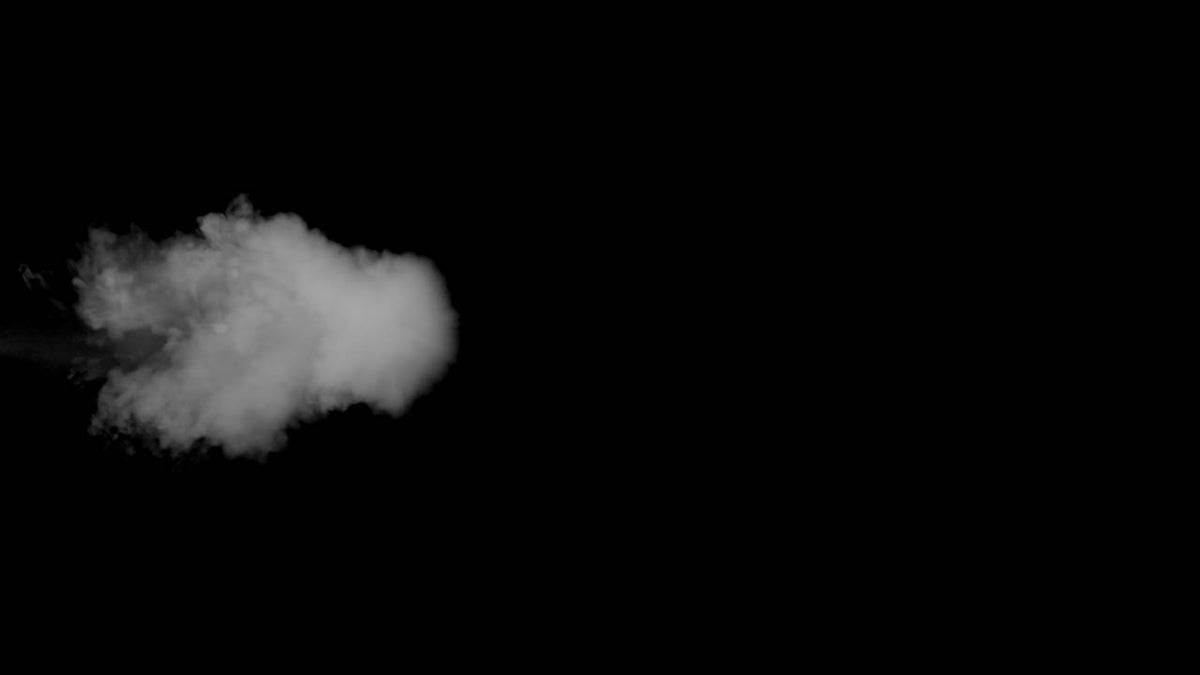 Cold Breath Cough - Side 008 – Visual FX Pro